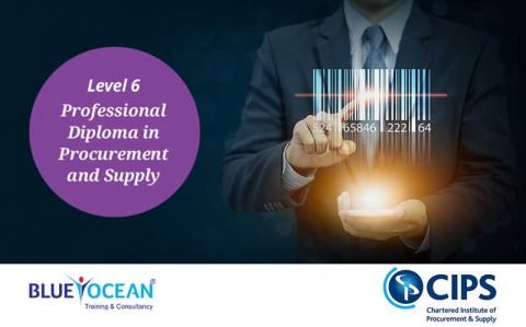 CIPS Level 6 - Professional Diploma in Procurement and Supply - Blue ...