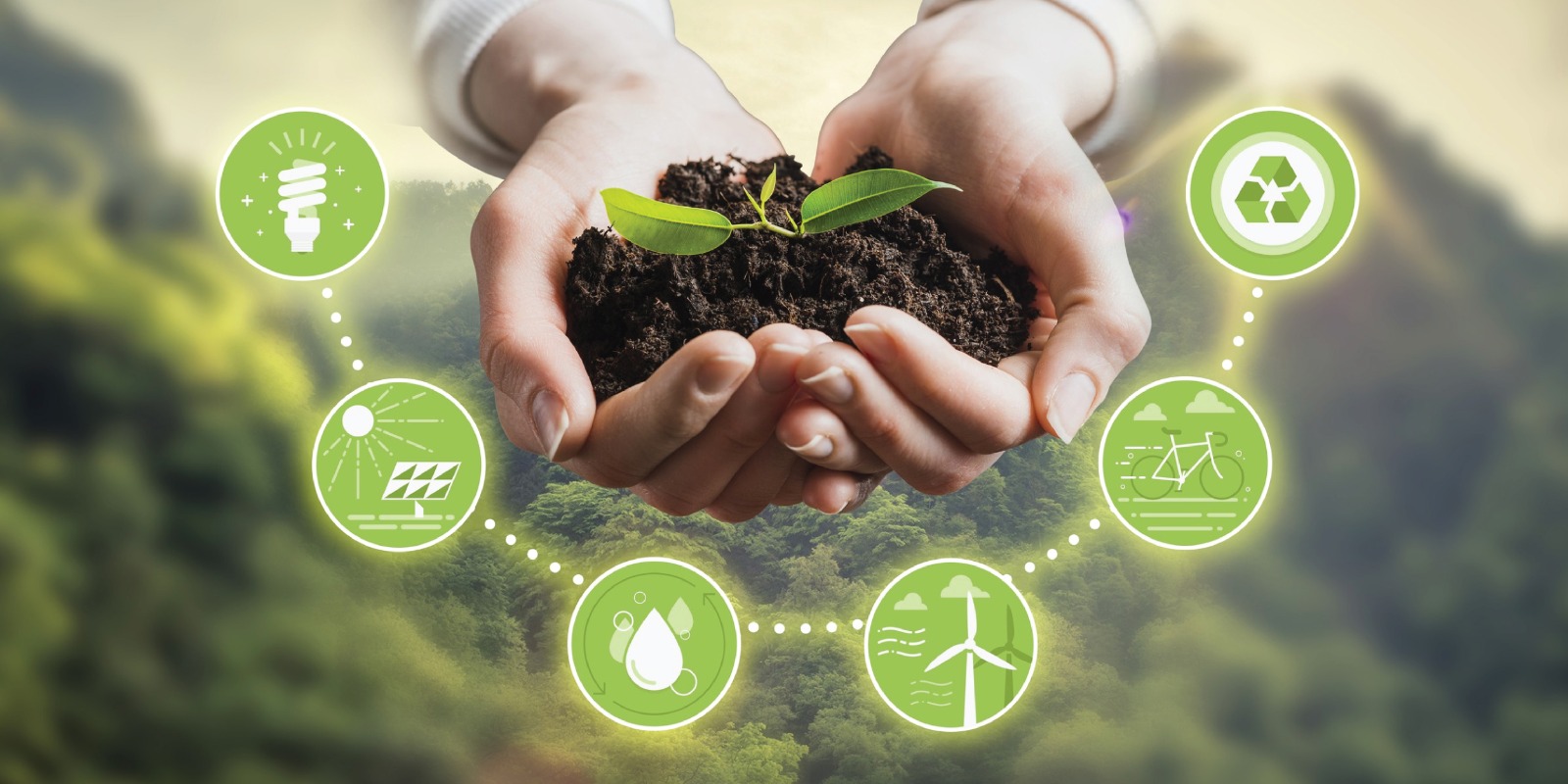 Quality and Sustainability Interactions - Blue Ocean Academy